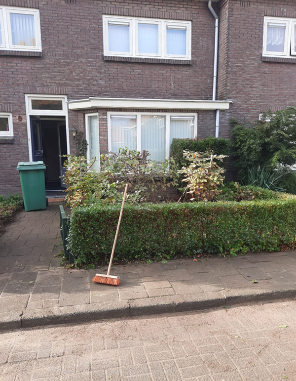 VSO Het Dok - Plant dier en buitenwerk | Japanse Koi | Interkoi