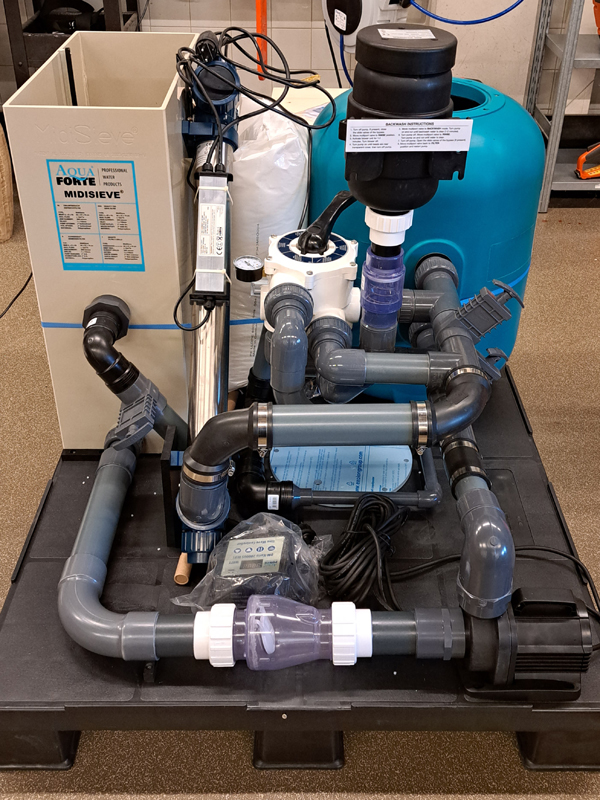 VSO Het Dok - Plant dier en buitenwerk | Japanse Koi | Interkoi