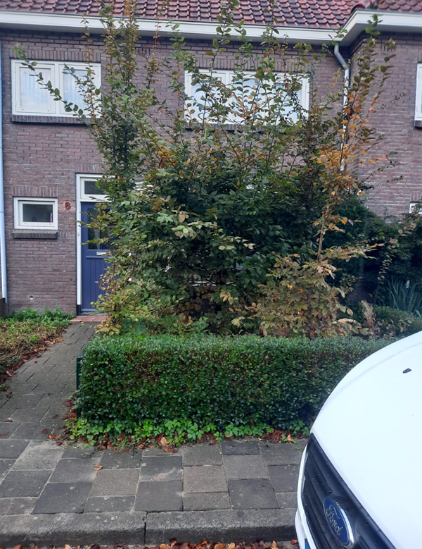 VSO Het Dok - Plant dier en buitenwerk | Japanse Koi | Interkoi