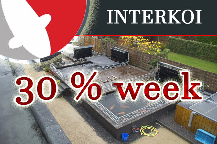 30% korting week | Japanse Koi | Interkoi