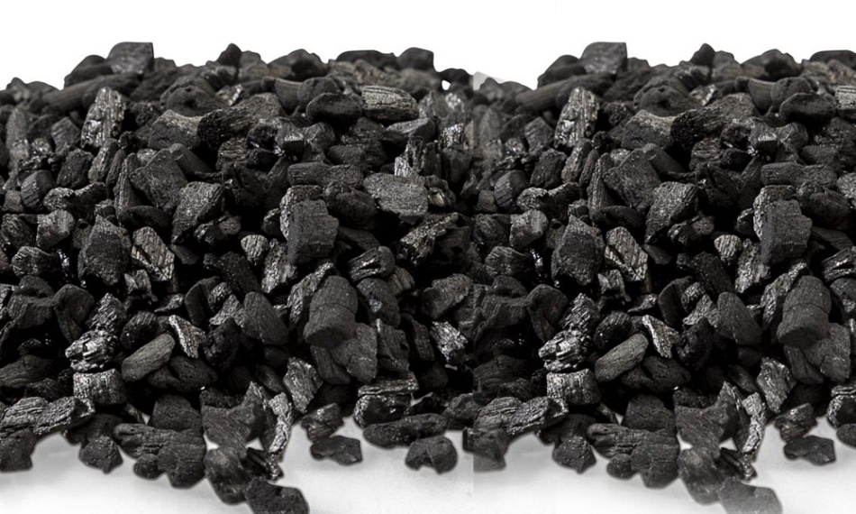 Actief kool in de vijver of het aquarium | Japanse Koi | Interkoi