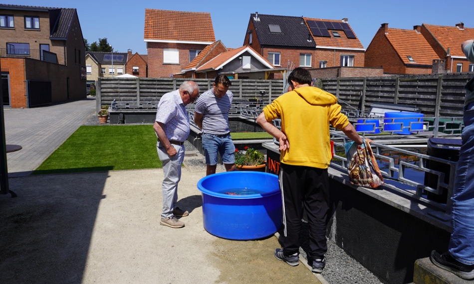 Goed weer, goed volk, een goedgevulde dag | Japanse Koi | Interkoi