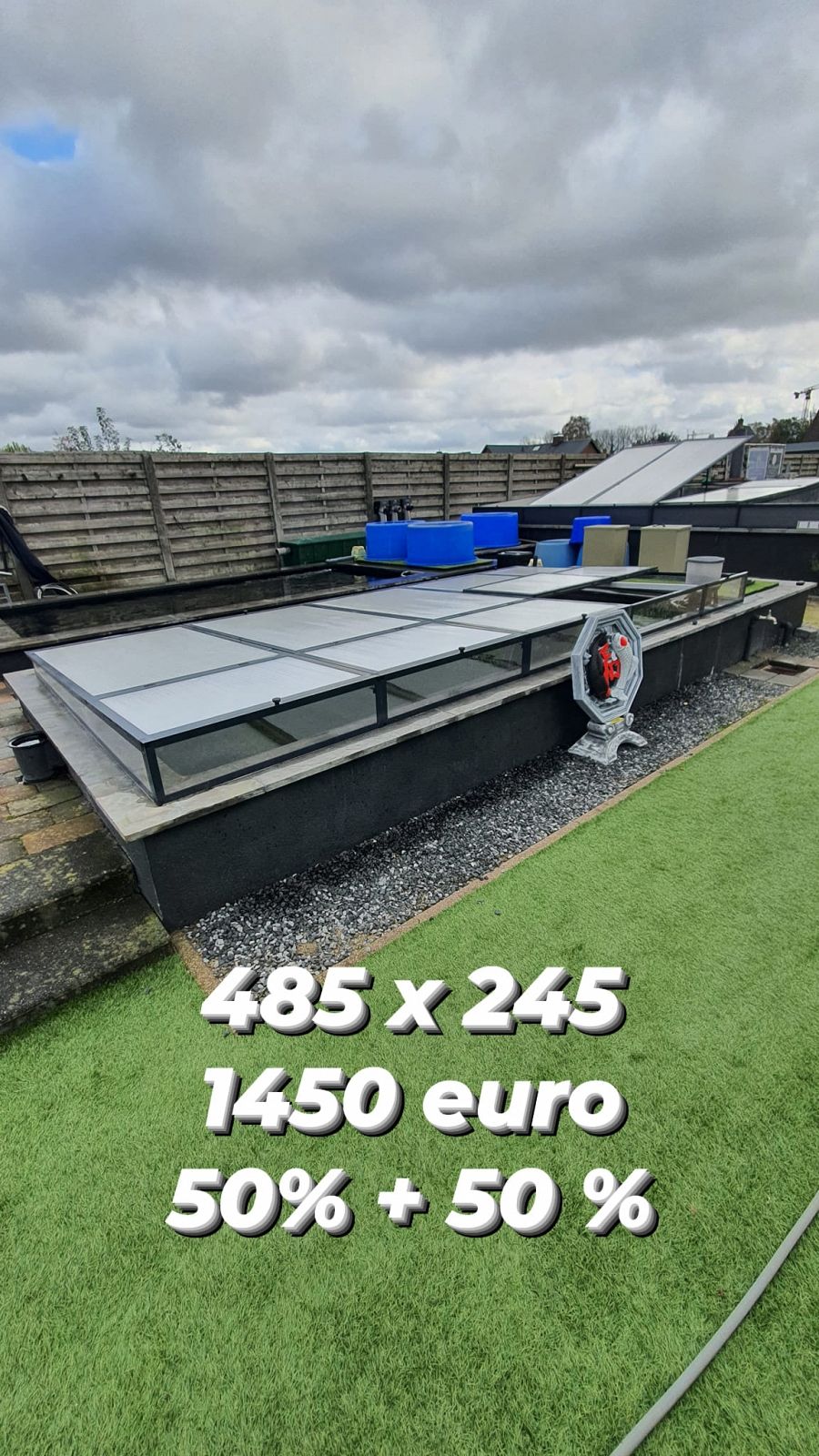 Het jaar van de waarheid | Japanse Koi | Interkoi